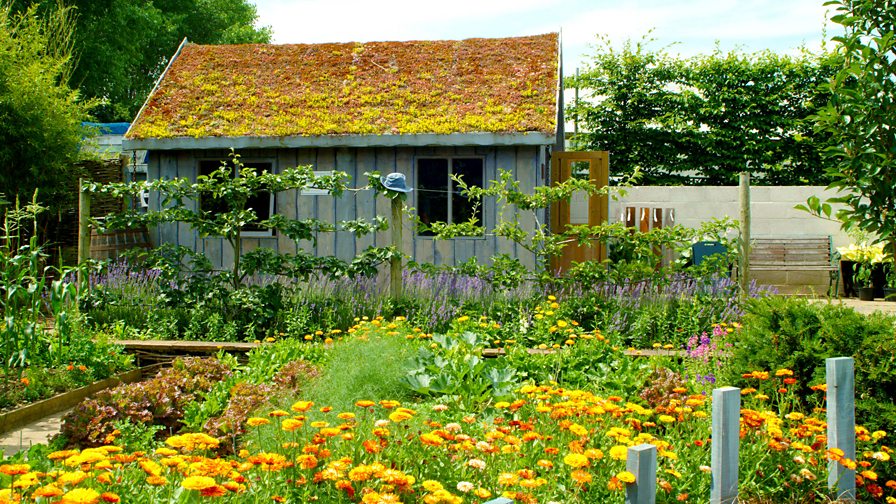BBC Radio 4 Gardeners Question Time Episode Guide bbc-radio-4-gardeners-question-time-episode-guide