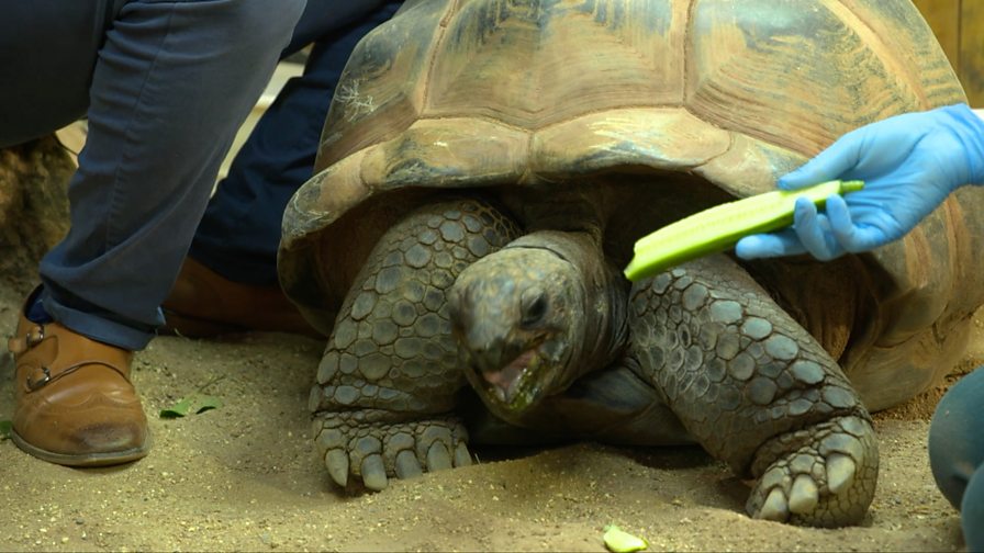 BBC One - Inside Out South West