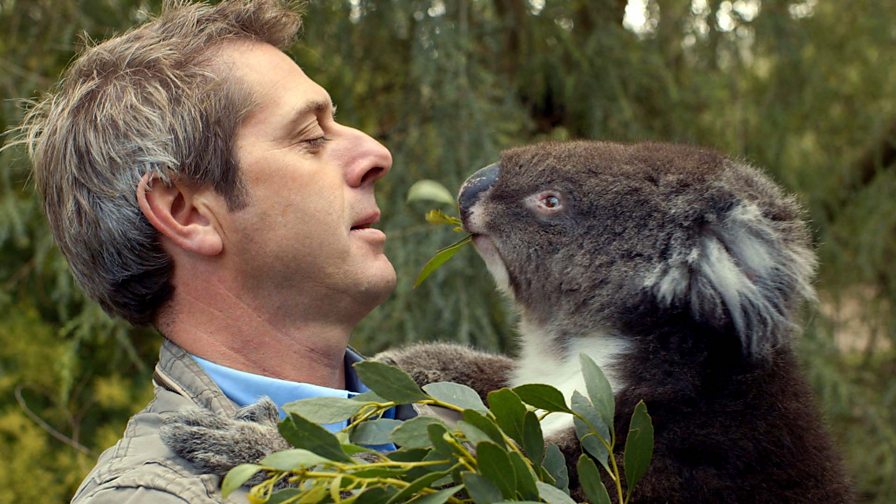 BBC Two - Rise of the Continents