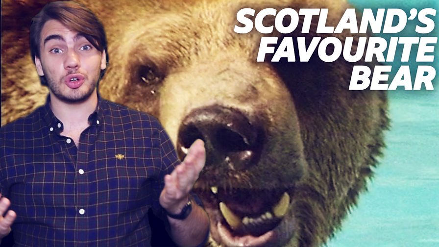 BBC - The Social, The Story Of Hercules The Bear: Scotland’s Global ...