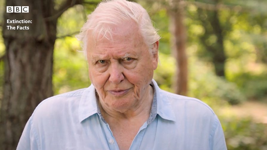 BBC One - Extinction: The Facts
