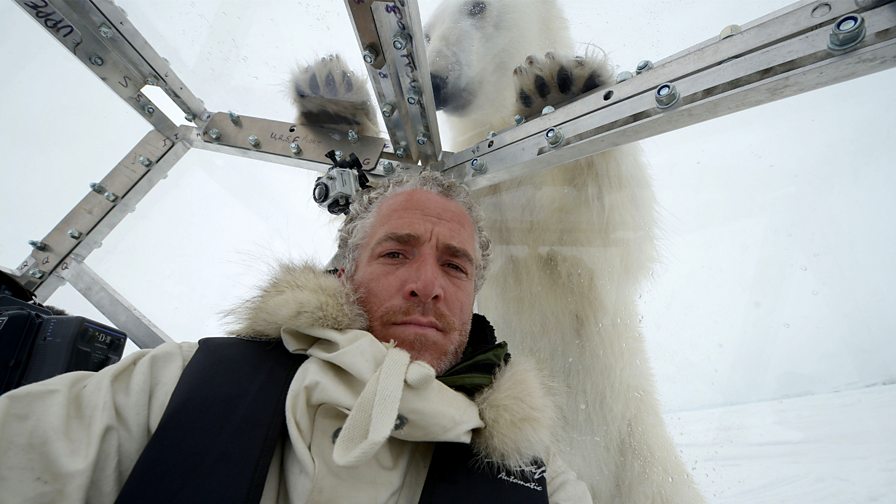 BBC - Wonderful wildlife with Gordon Buchanan