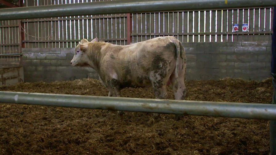 BBC Two - This Farming Life, Series 4