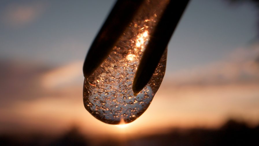 BBC Two - Winterwatch, Series 9, 15 minutes of winter spectacles