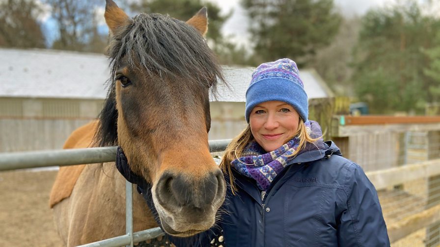 BBC Scotland - Landward - Available now