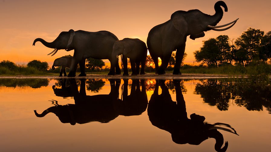 BBC Four - Great British Photography Challenge