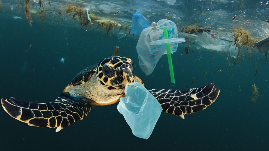 BBC World Service - Newsday, Half of plastic rubbish found in ocean is ...