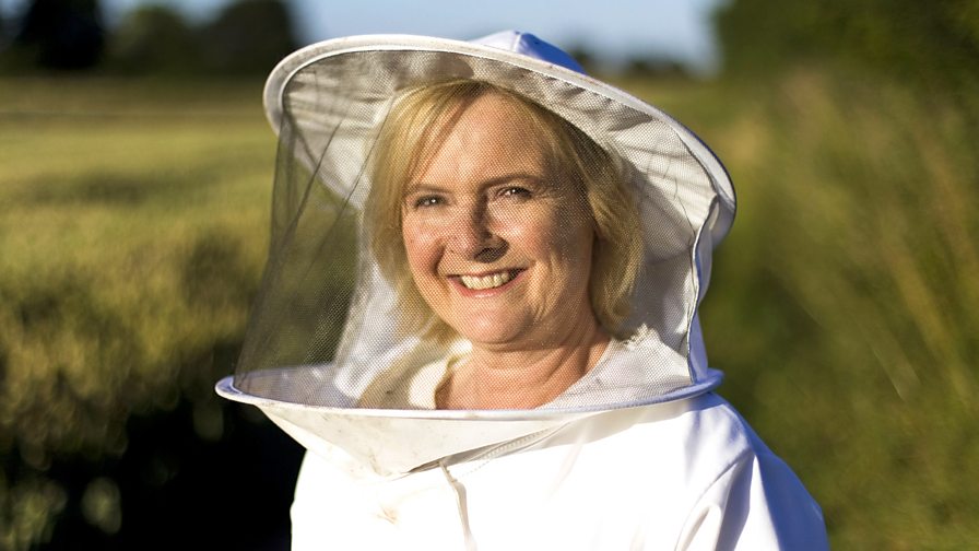 BBC Four - The Wonder of Bees with Martha Kearney