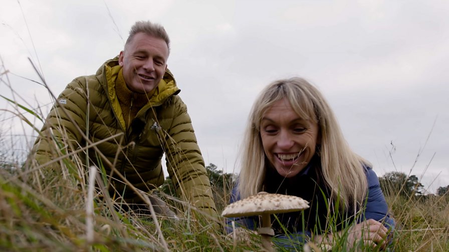 BBC Two - Autumnwatch - Clips
