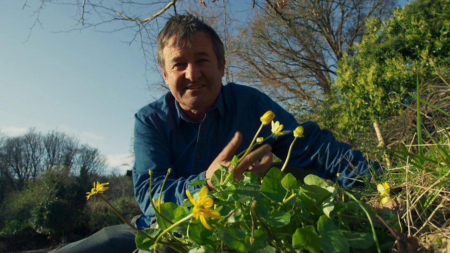 BBC Two - The Wild Gardener