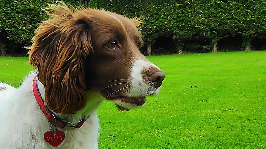 BBC - Programmes categorised as Factual: Crime & Justice: True Crime ...