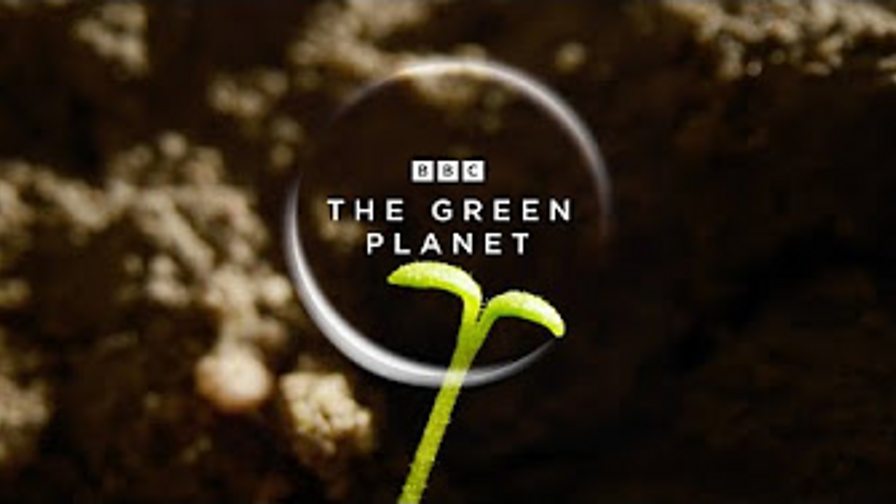 BBC One - The Green Planet