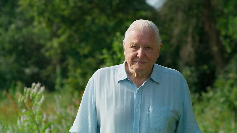 BBC One - The Green Planet, Series 1, Seasonal Worlds, David ...