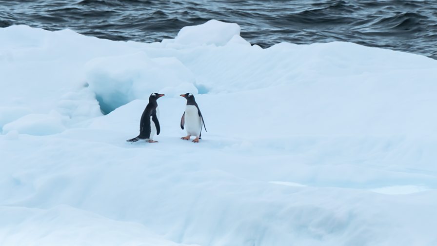 BBC World Service - Science In Action - Downloads