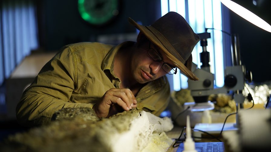 BBC One - Dinosaurs: The Final Day with David Attenborough