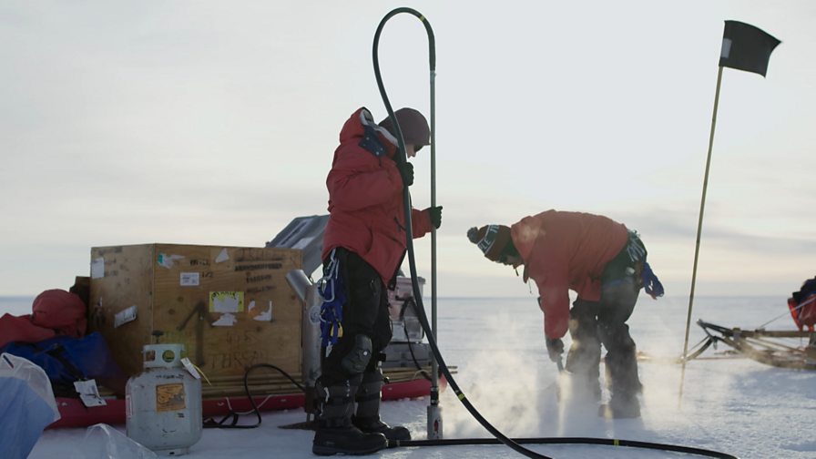 BBC One - Frozen Planet II, Series 1, Frozen Worlds, Killer whales hunt ...