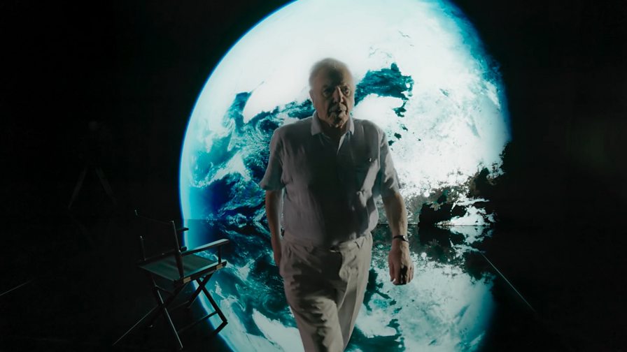 BBC One - Frozen Planet II, Series 1, Frozen Worlds, Killer whales hunt ...