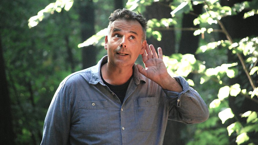 BBC Radio 4 - Rob Newman - Available now