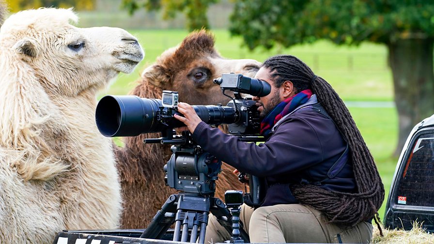 BBC One - Animal Park