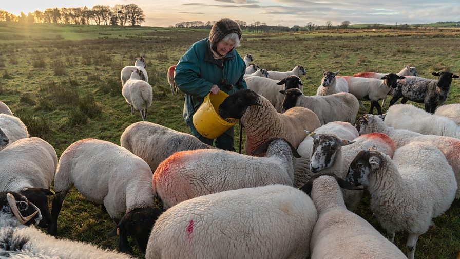 BBC Radio 4 - Farming Today - Downloads