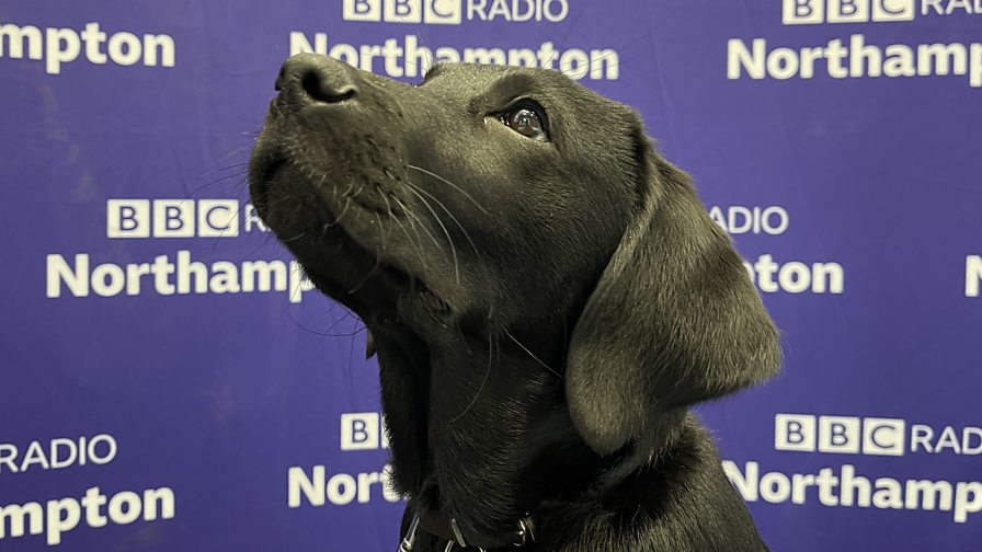 BBC Radio Northampton - Annabel Amos, Liz Jeeves sits in: The anti ...