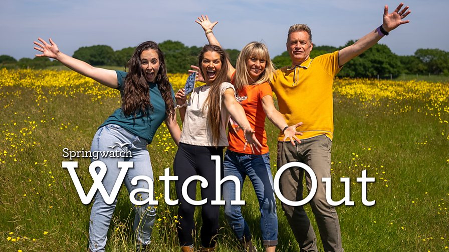 BBC Two - Springwatch