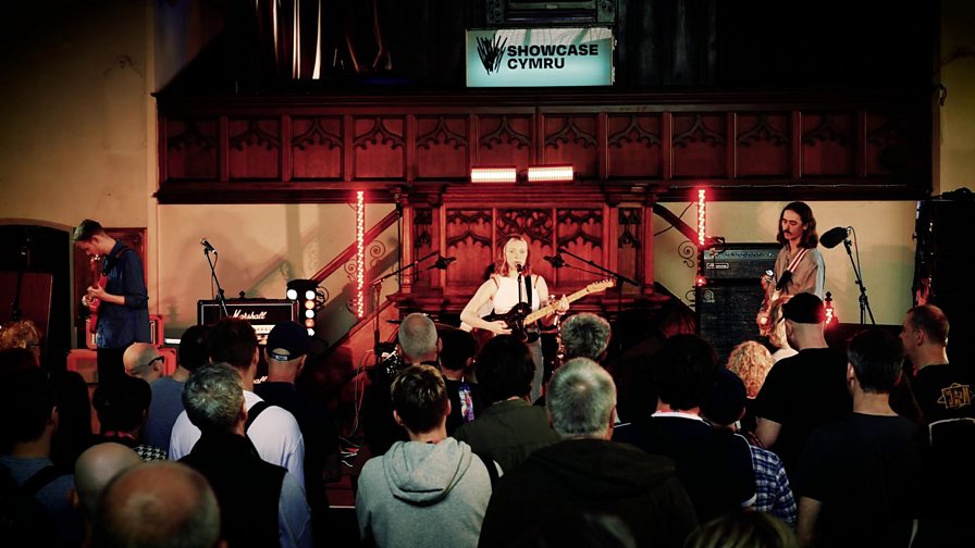 BBC Wales - Horizons, Pys Melyn - Defaid (Sesiynau Gorwelion)