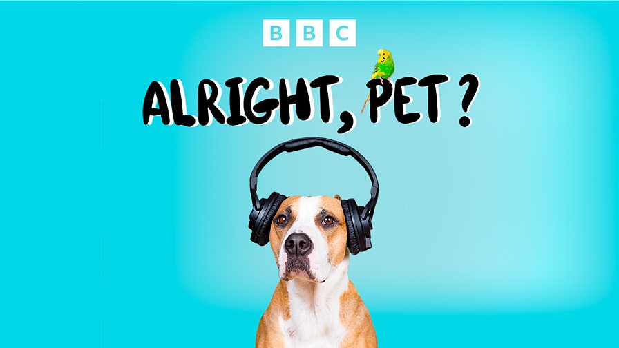 BBC Radio Ulster - Alright, Pet?, Series 5, A life-saving cat and doggy ...