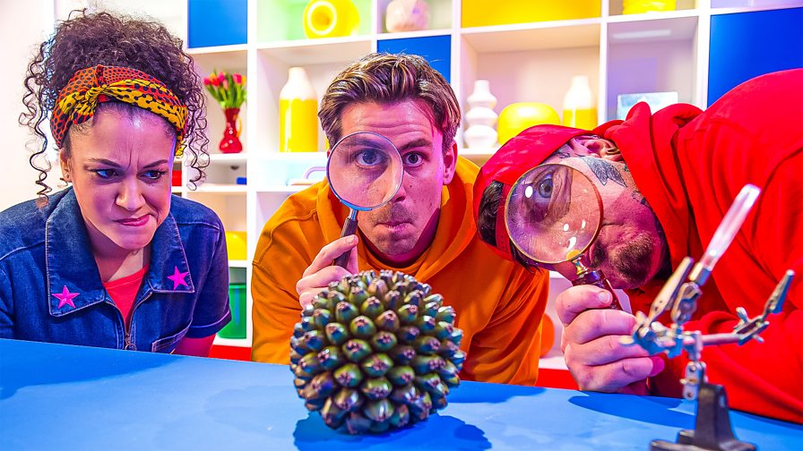 CBeebies - Fred & Pete's Treasure Tales, Series 1 - Episode guide