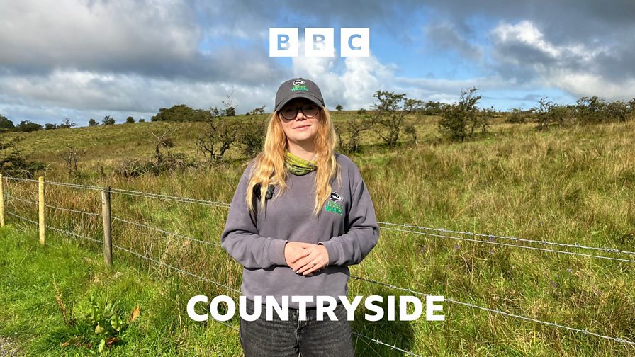 BBC Radio Ulster - Countryside