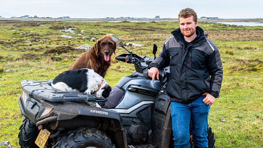 BBC Two - This Farming Life - Available now