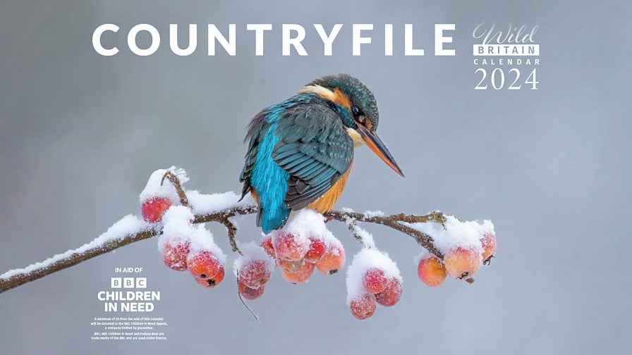 BBC One - Countryfile