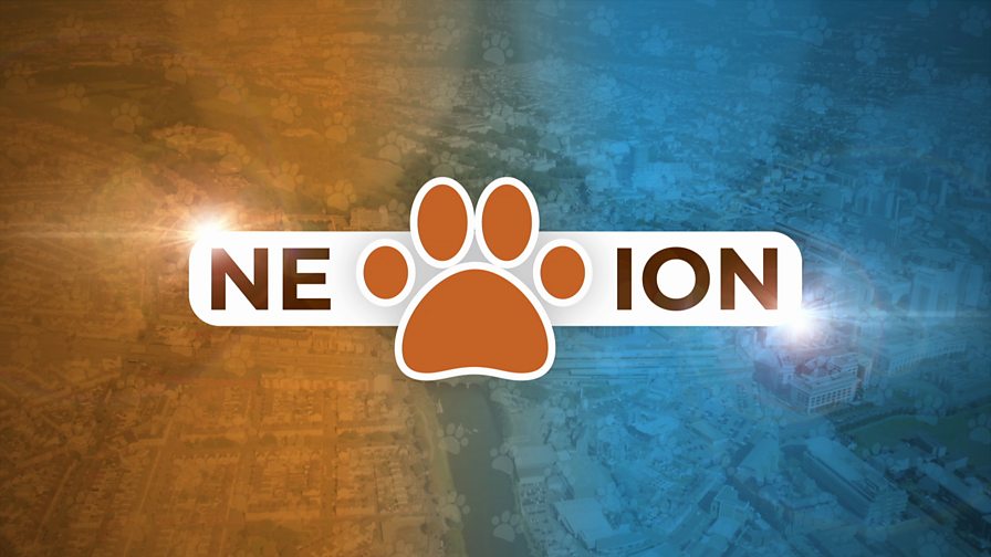 S4C - Ne-wff-ion, Cyfres 3