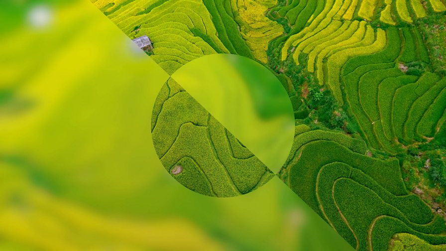 BBC News - Future Earth