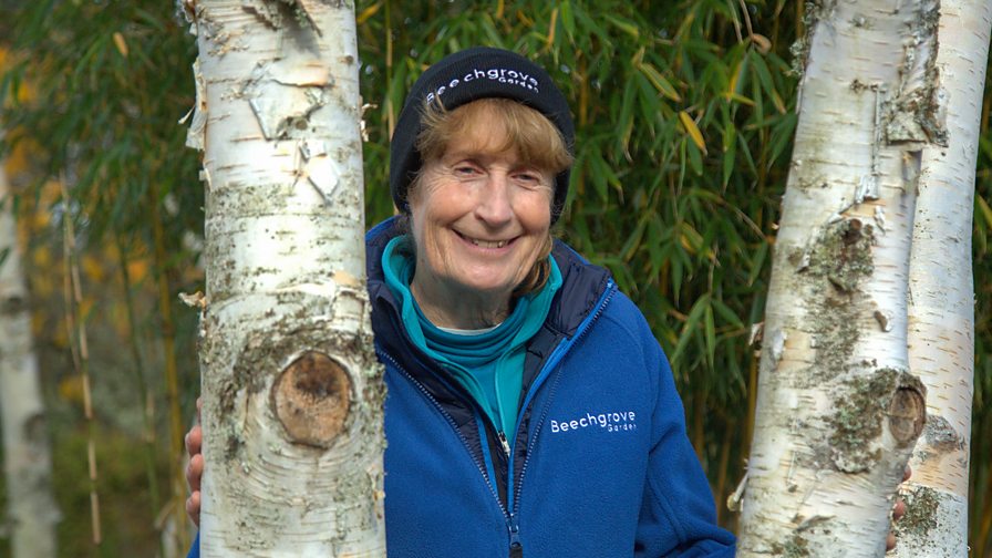 BBC Scotland - Beechgrove Garden - Available now