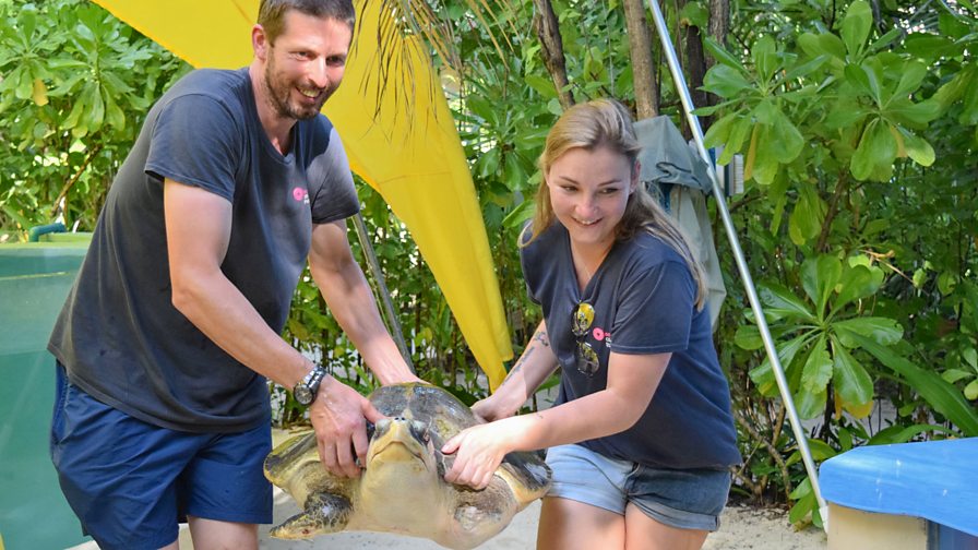 BBC Two - Secrets of the Aquarium, Series 1, Do You Have Room for a ...