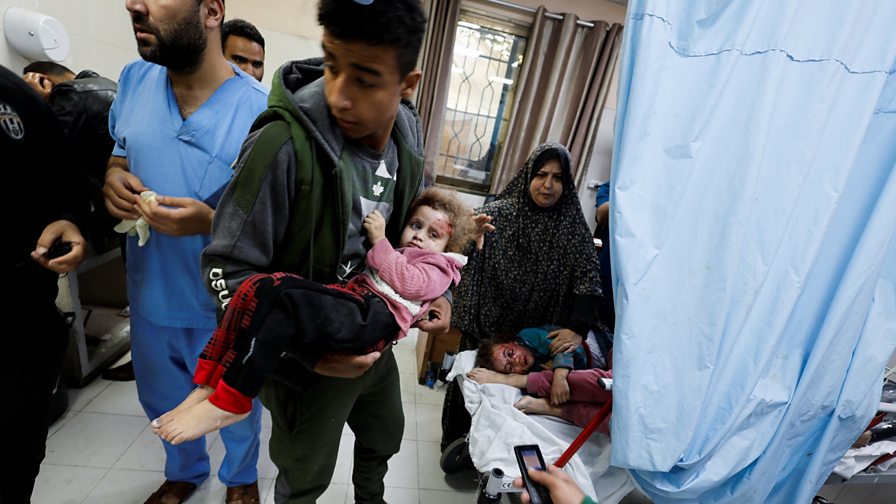 BBC World Service - Newsday, Pangolins - the world's most wanted animal