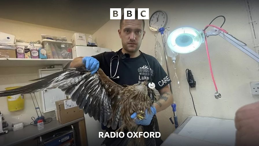 BBC Radio Oxford - Adam Ball