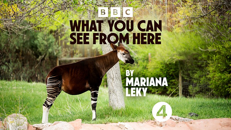 BBC Radio 4 - What You Can See from Here by Mariana Leky