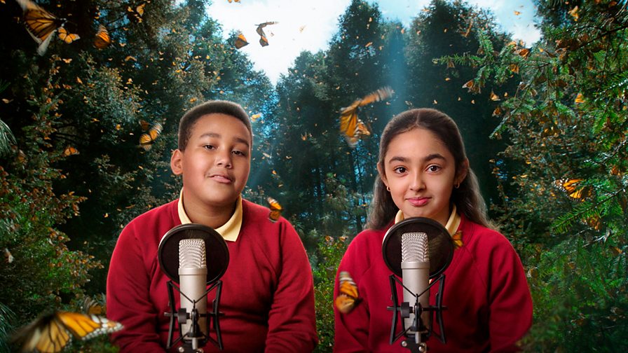 BBC One - Planet Earth III, Series 1, Coasts, Planet Earth III Trailer ...