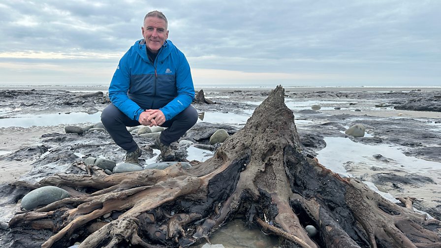 BBC One Wales - Schedules