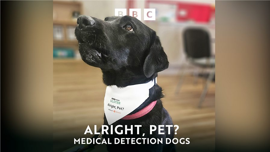 BBC Radio Ulster - Alright, Pet?, Series 4, Life-saving medical ...