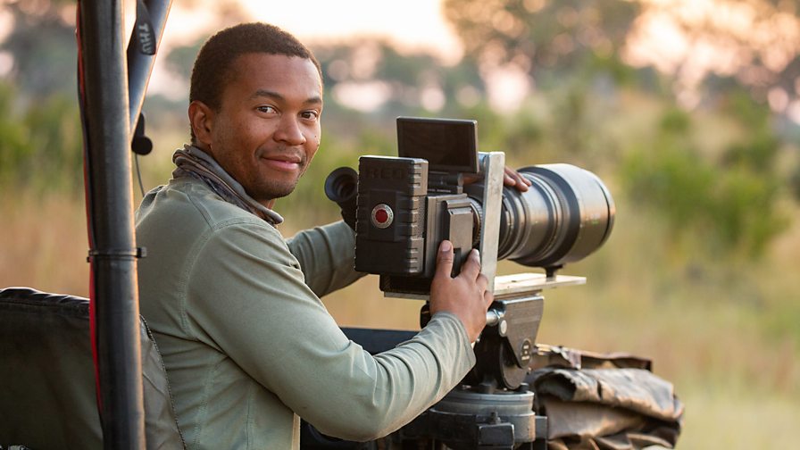 BBC Two - Big Cats 24/7 - Anna Dimitriadis