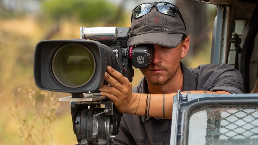 BBC Two - Big Cats 24/7 - Anna Dimitriadis