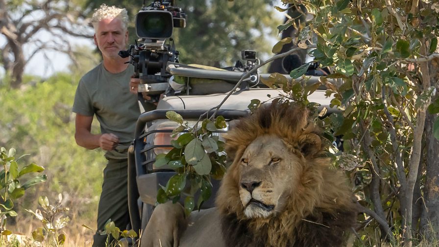 BBC Two - Big Cats 24/7 - Available now