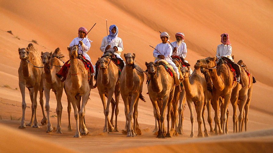 BBC Two - Wild Arabia