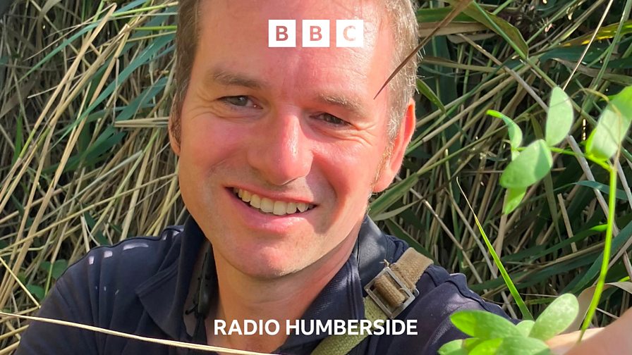 BBC Radio Humberside - Richard Stead on BBC Radio Humberside, 31/10 ...