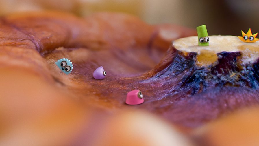 CBeebies - Tiny Wonders, Series 4 - Episode guide