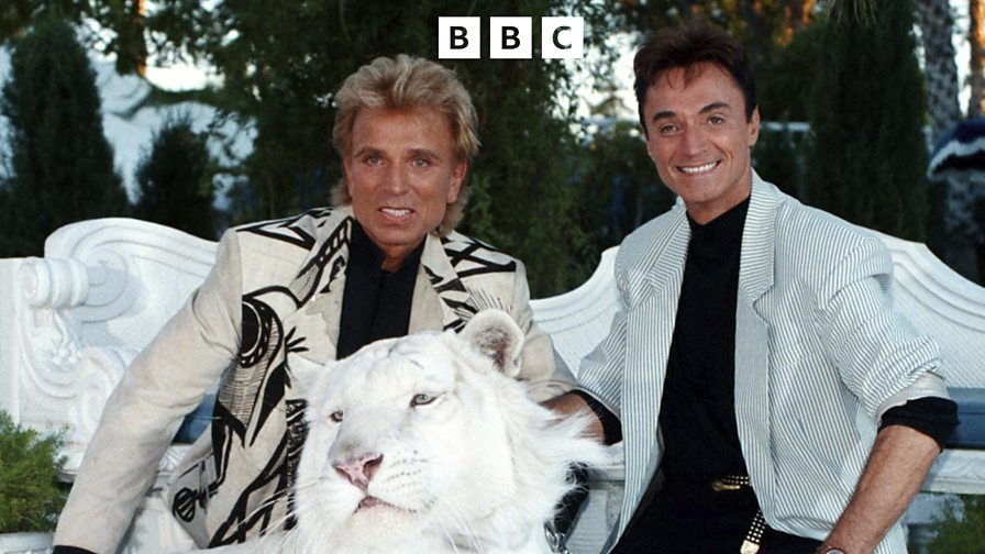 BBC World Service - Witness History, Siegfried and Roy tiger attack ...