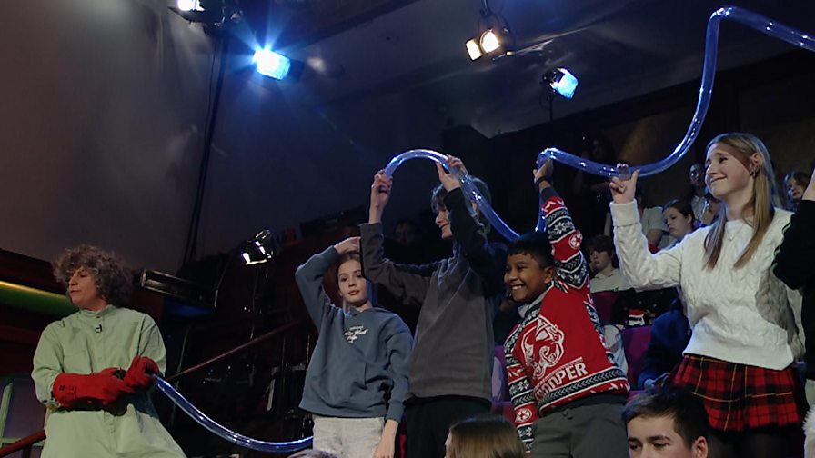 BBC Four - Royal Institution Christmas Lectures